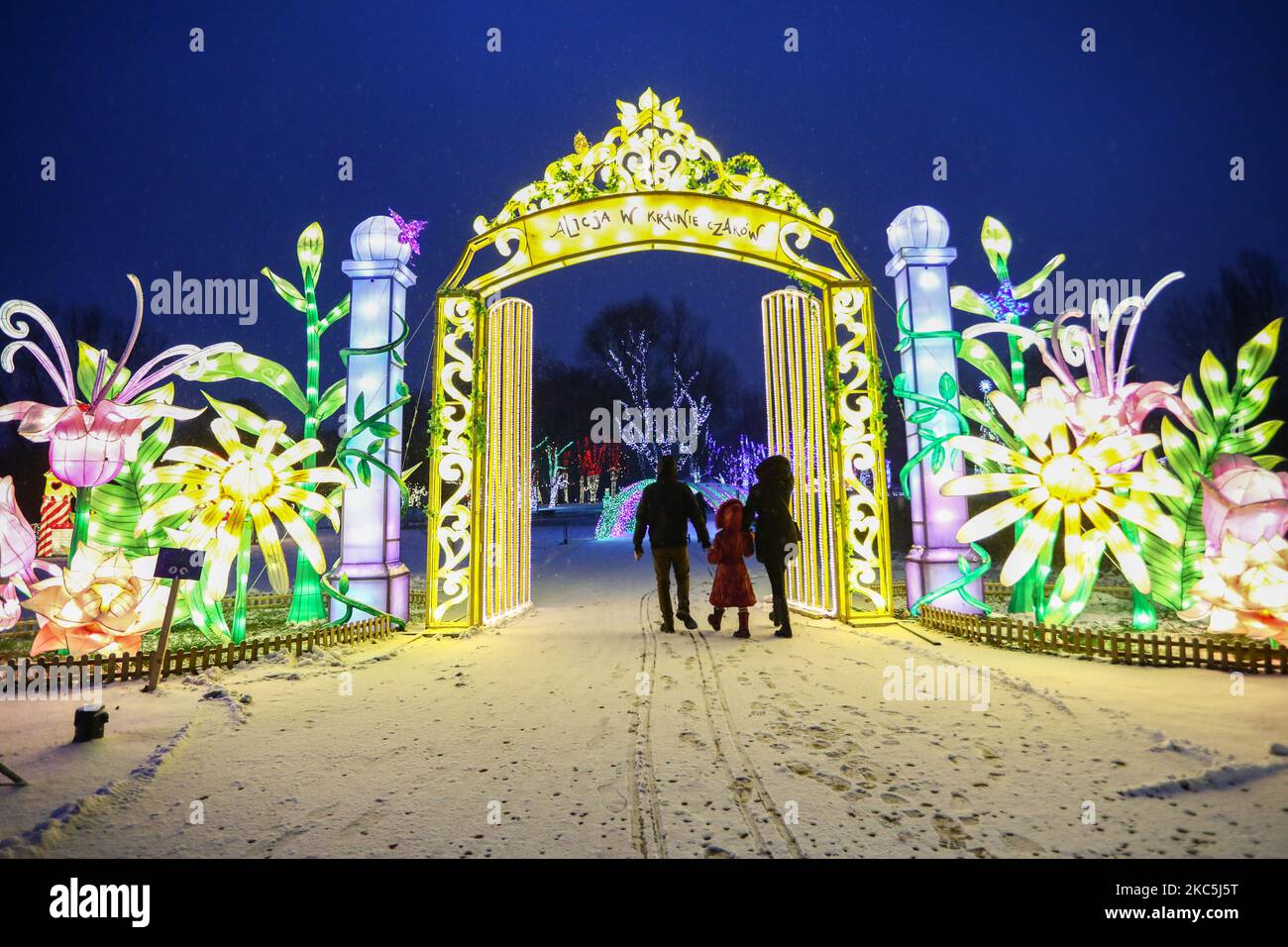 Scenes from the open-air light exhibition Alice in Wonderland - Garden ...