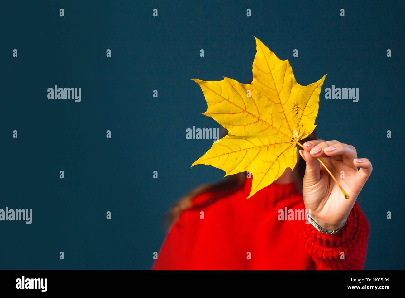 Young woman is holding a maple leaf in front of her face by covering it ...