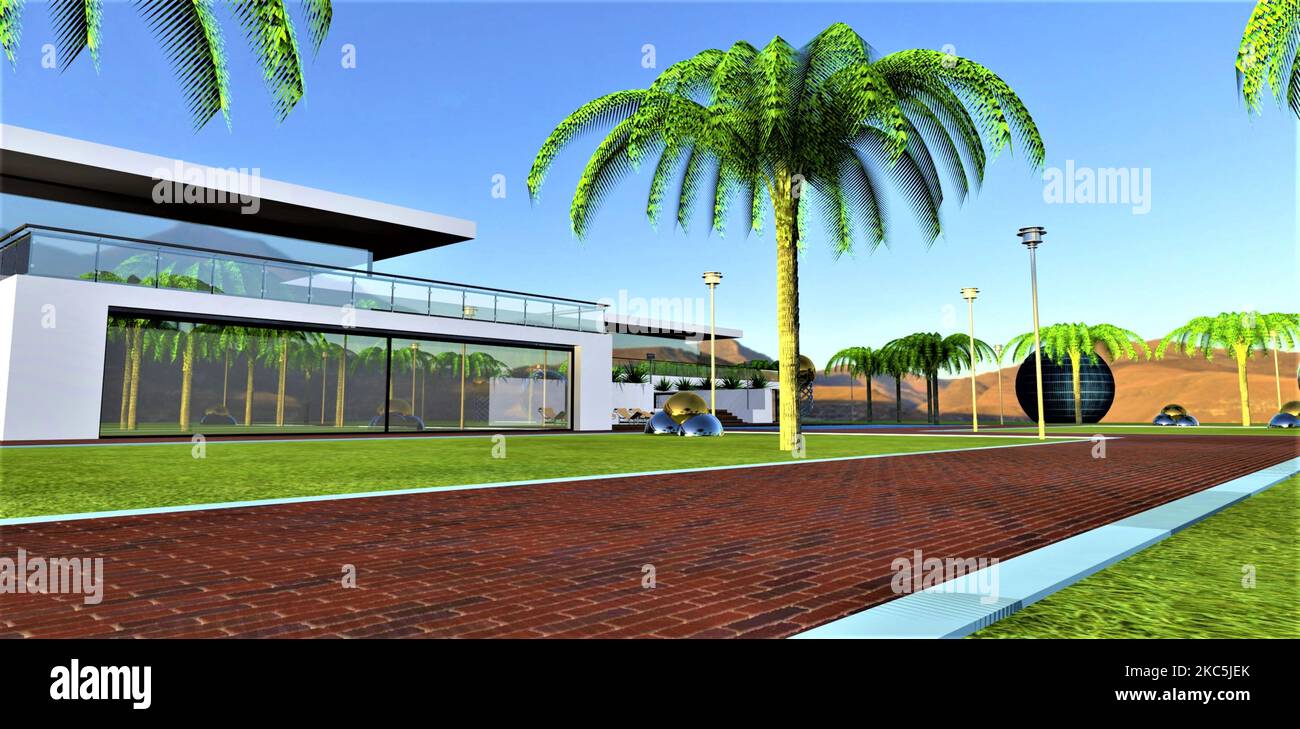 A palm tree on a lawn near a red brick walkway on a luxurious country ...