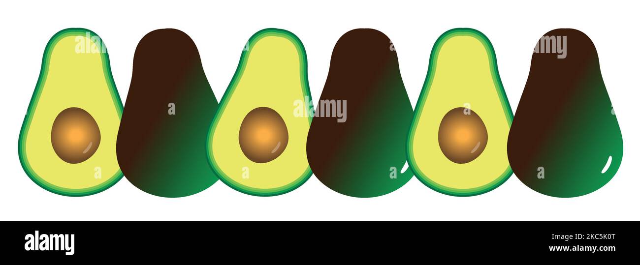 Ripe green avocados on Stock Vector Images - Alamy