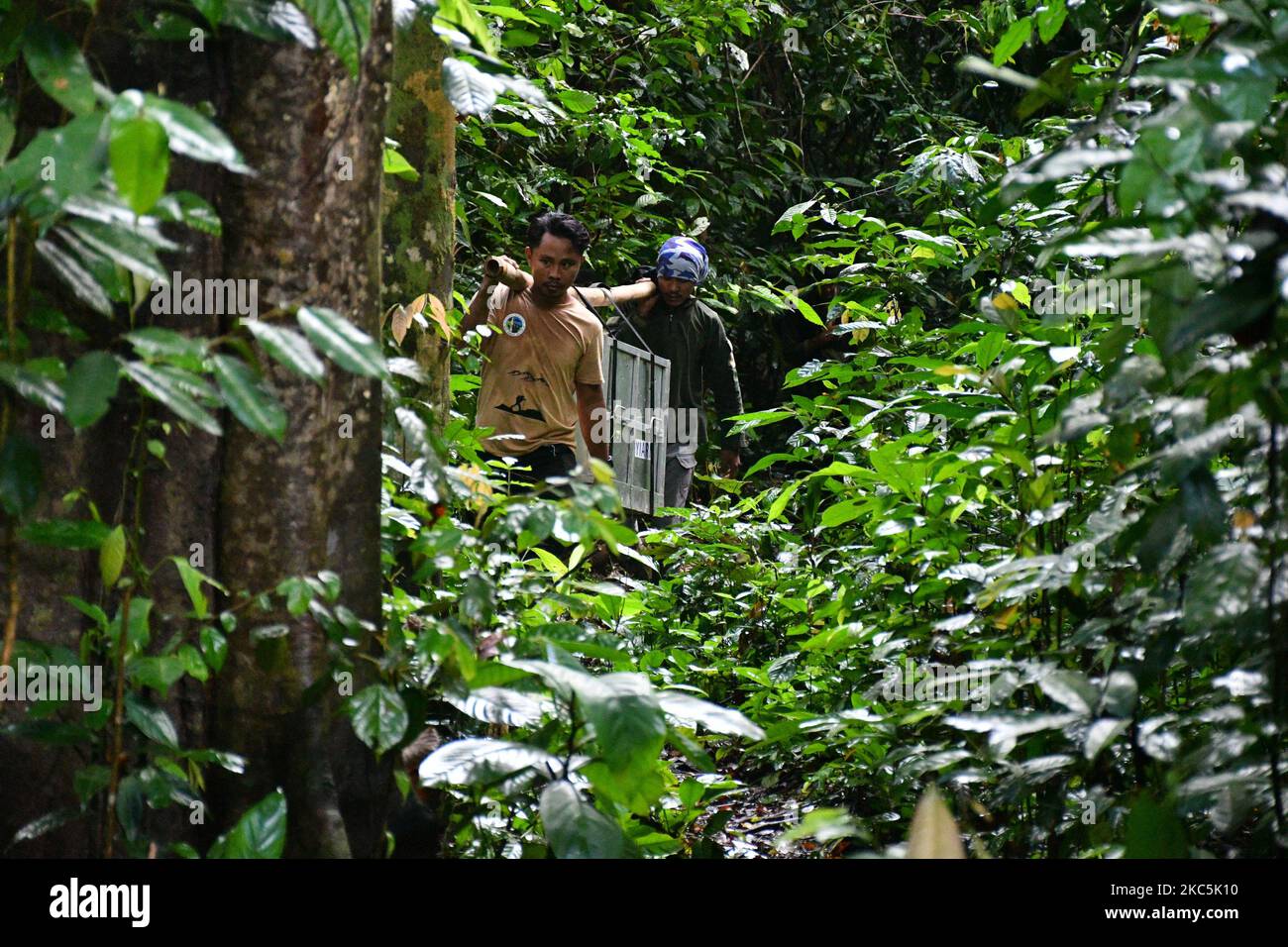 A team from the IAR Indonesia Foundation brings a cage filled with ...