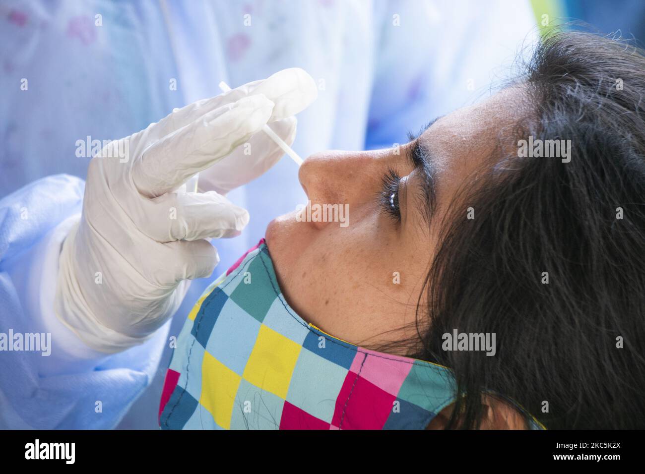 A nurse inserts a swab into a person's nose performing the Covid PCR ...