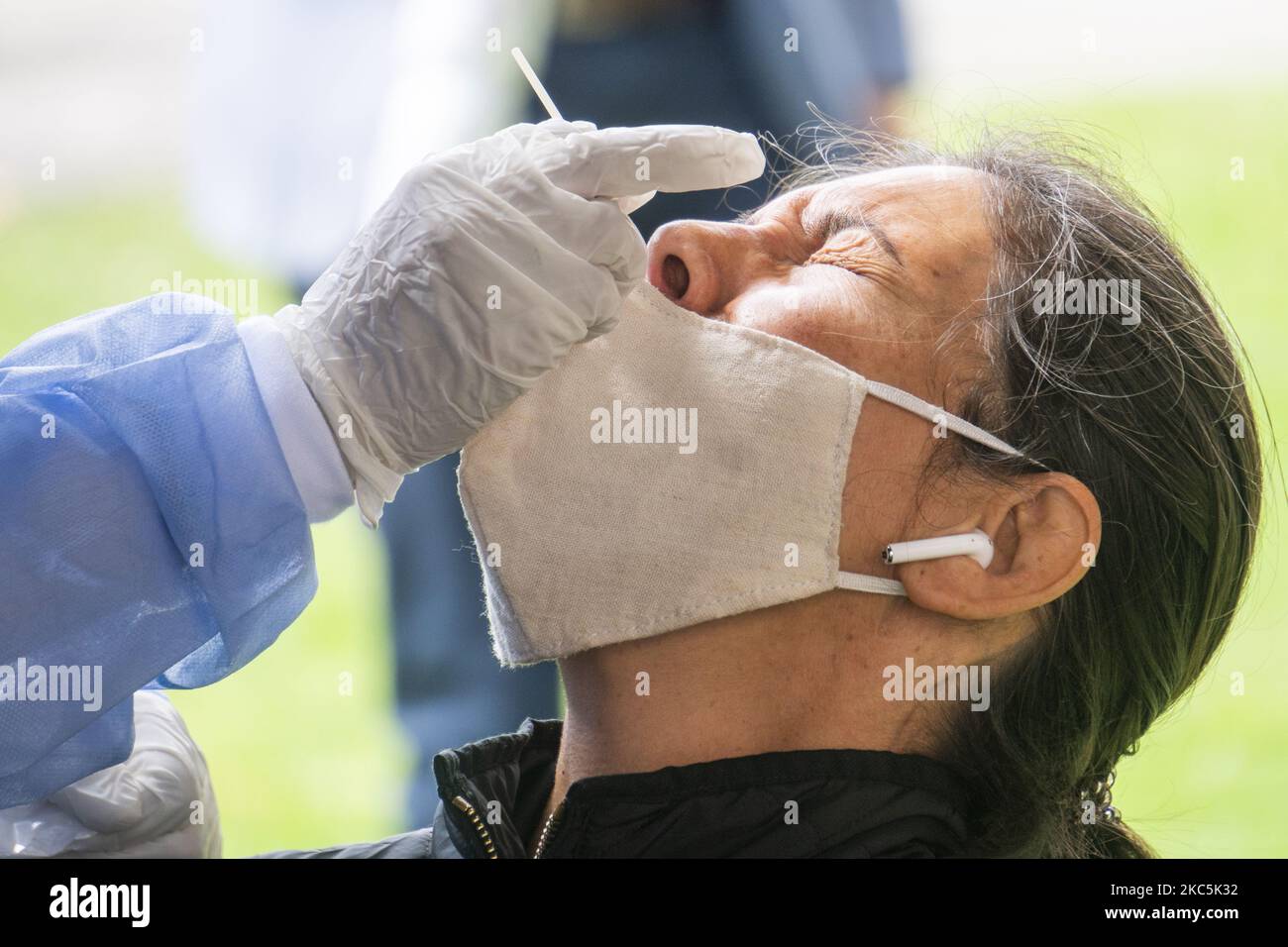 A nurse inserts a swab into a person's nose performing the Covid PCR ...
