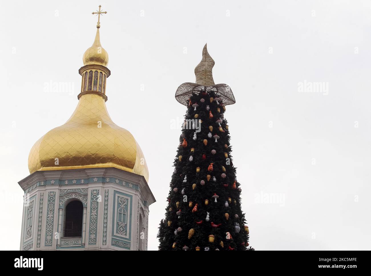 Countrys main christmas tree hi-res stock photography and images - Alamy
