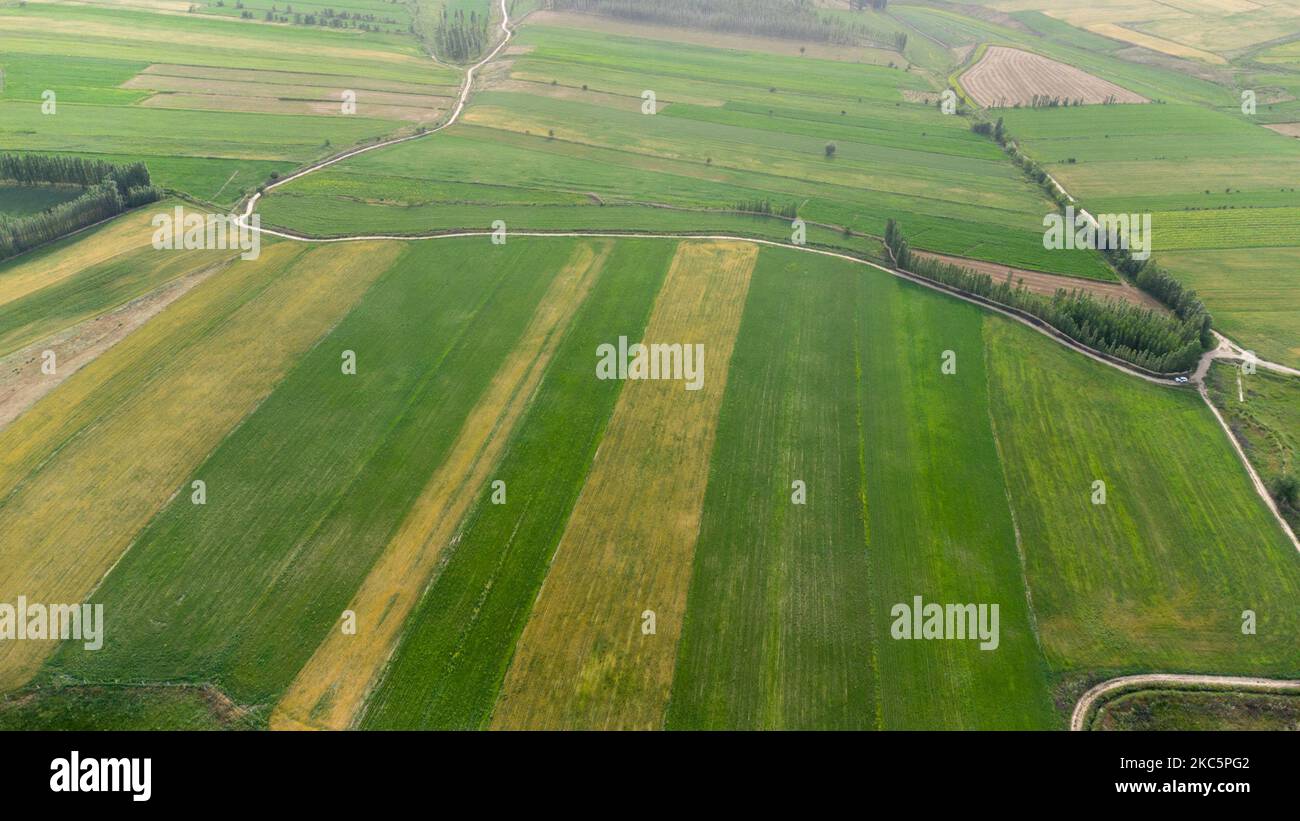 An aerial of a green field with layers Stock Photo - Alamy