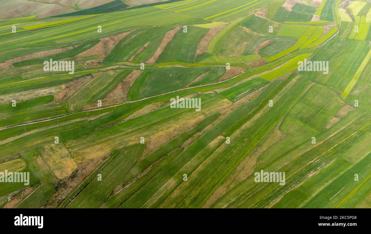An aerial of a green field with layers Stock Photo - Alamy