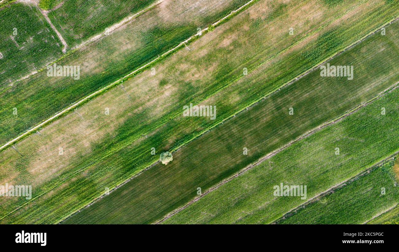 An aerial of a green field with layers Stock Photo - Alamy