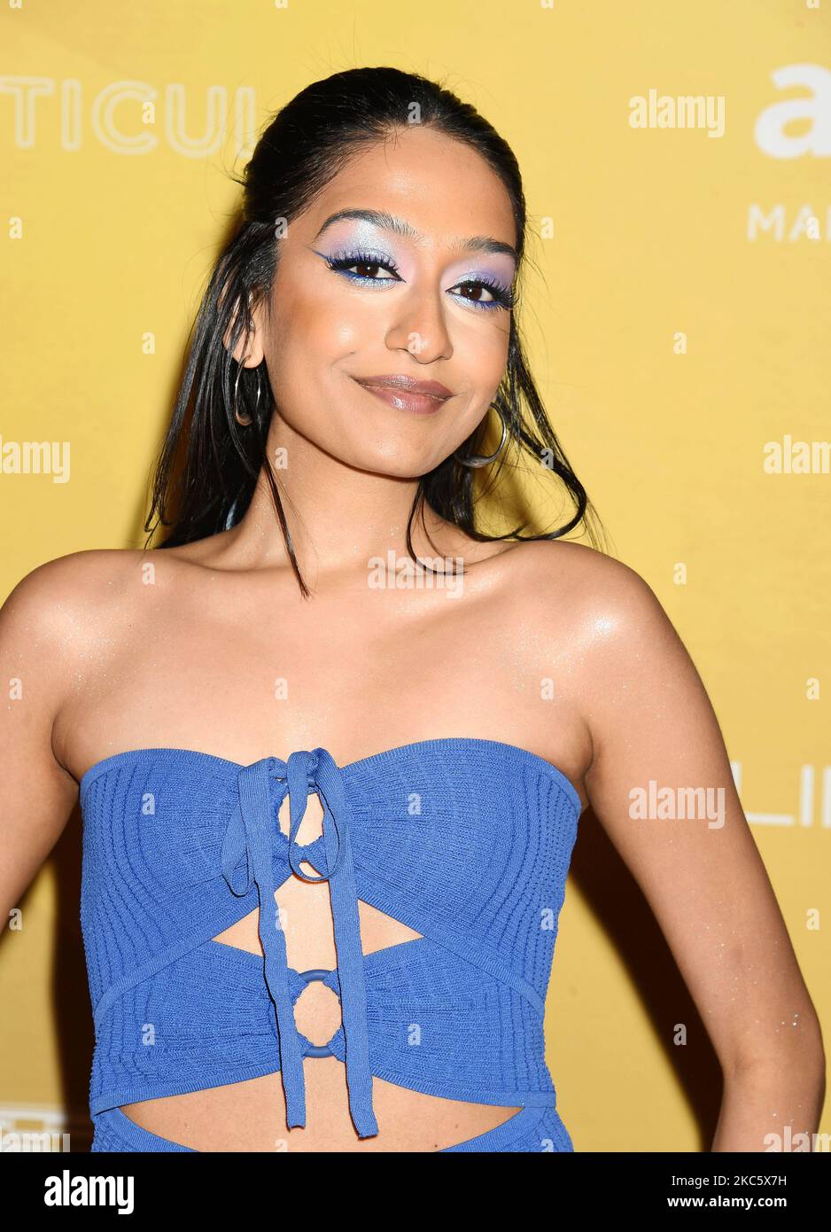 WEST HOLLYWOOD, CA - NOVEMBER 03: Sri Ramesh attends 2022 amfAR Gala ...