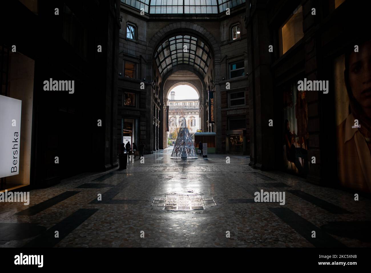 One filament paper tree hi-res stock photography and images - Alamy