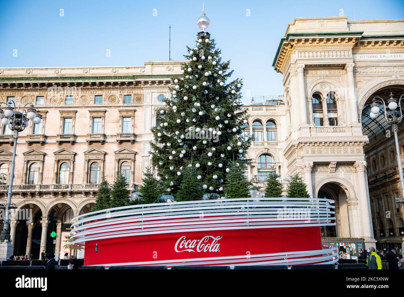Albero del banco hi-res stock photography and images - Alamy