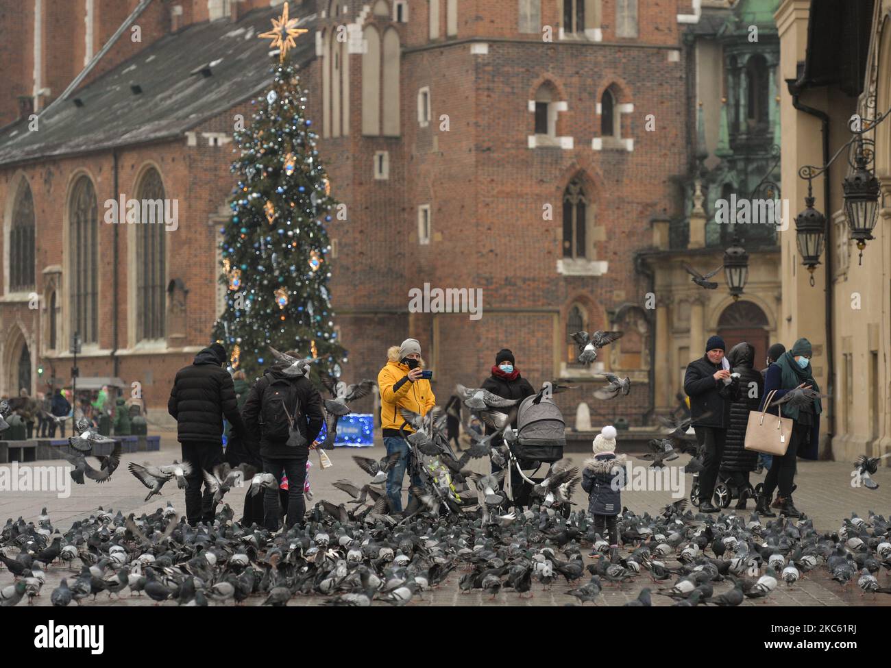 People taking pictures of a flock of pigeons in Krakow's Market Square ...