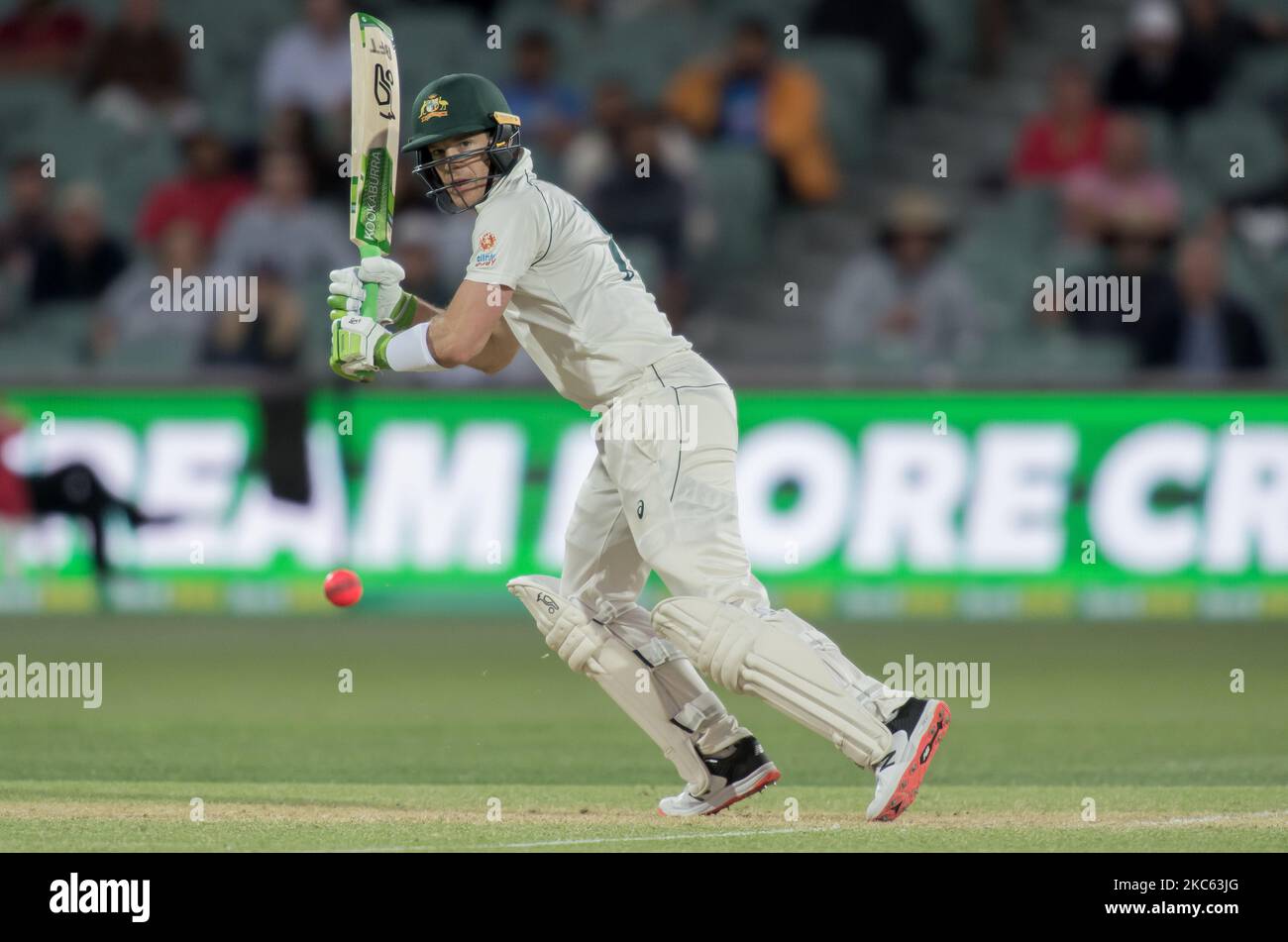 Tim paine 2020 hi-res stock photography and images - Alamy