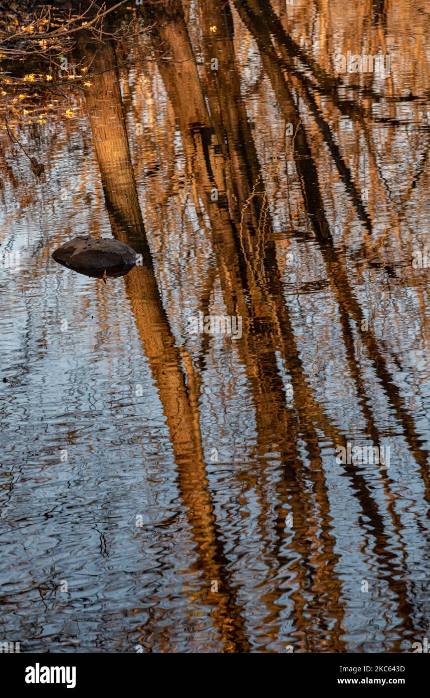 Water movement and reflections patterns dominate the surface of Hickory ...