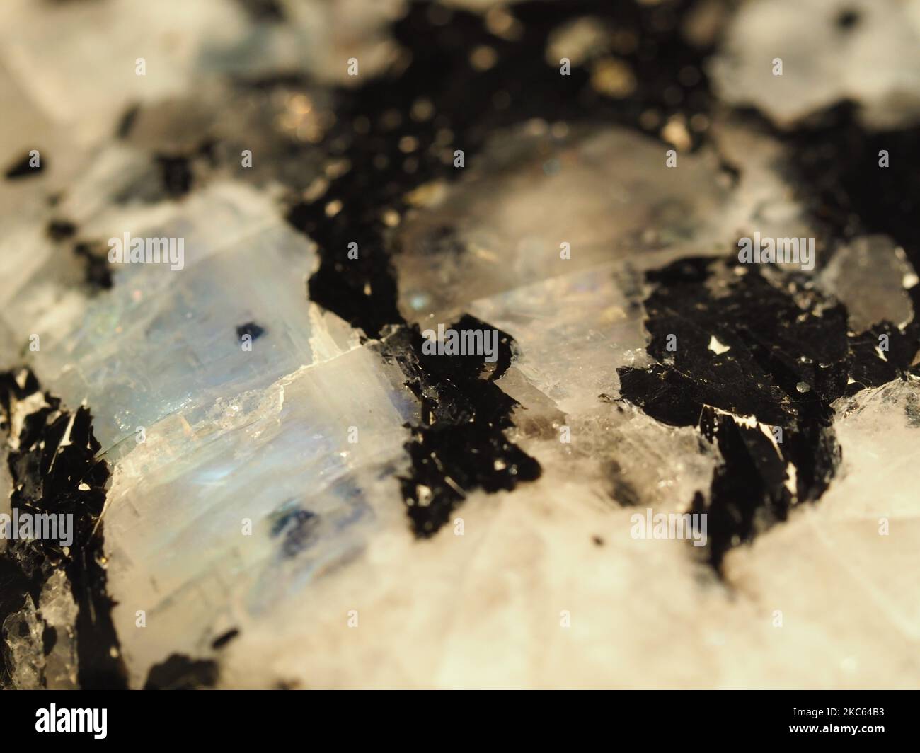 Moonstone with Black and Rainbow Inclusions Stock Photo - Alamy