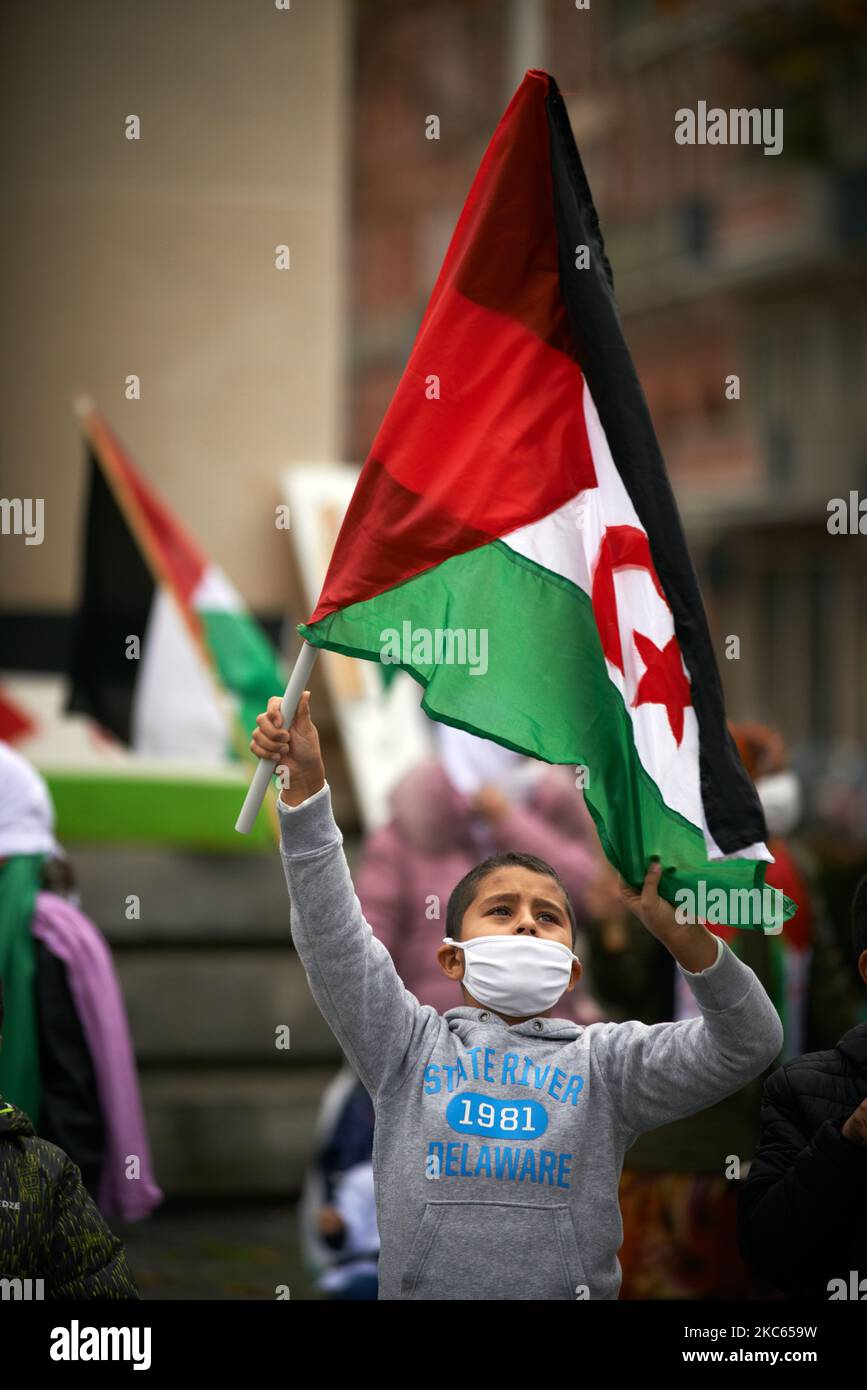 A boy deploys a Sahrawi flag. Sahrawi people of Toulouse gathered ...