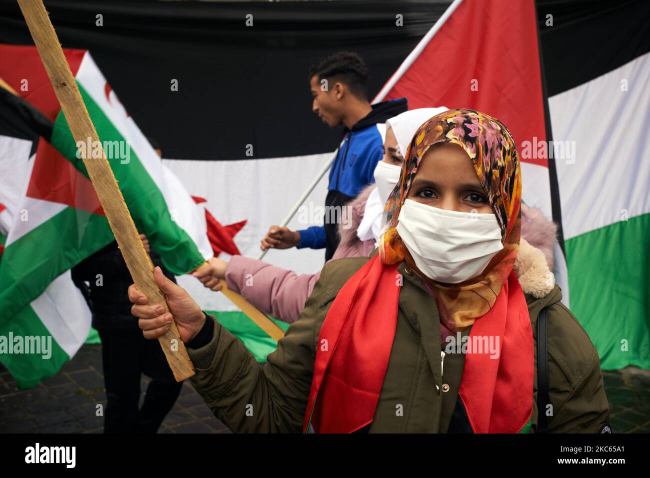 Israel western sahara flag hi-res stock photography and images - Alamy