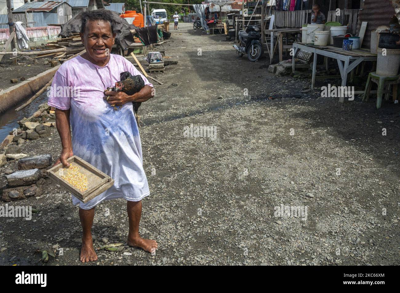 A disaster survivor holds his chicken in front of a temporary shelter ...