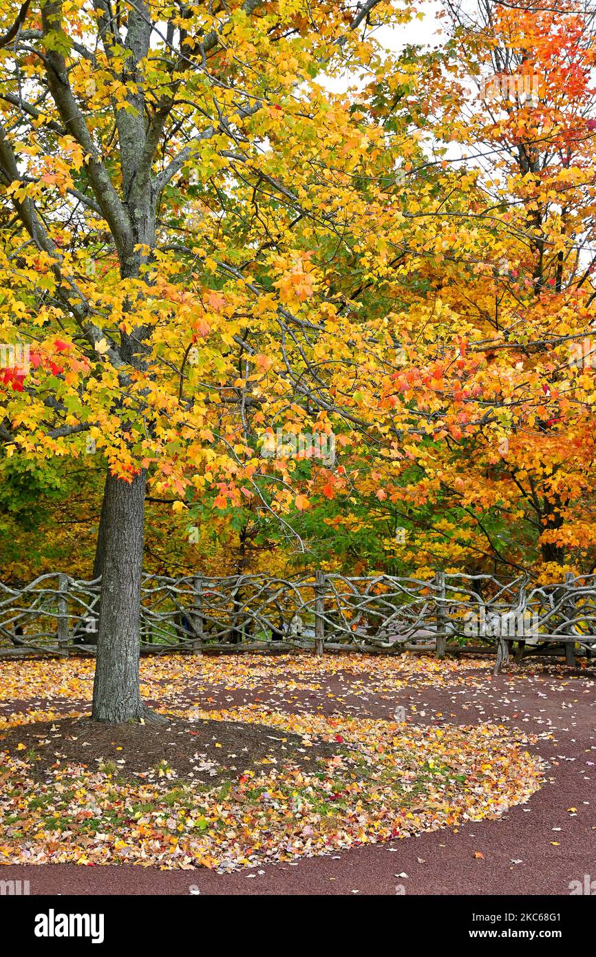 Rustic branches fence hi-res stock photography and images - Alamy