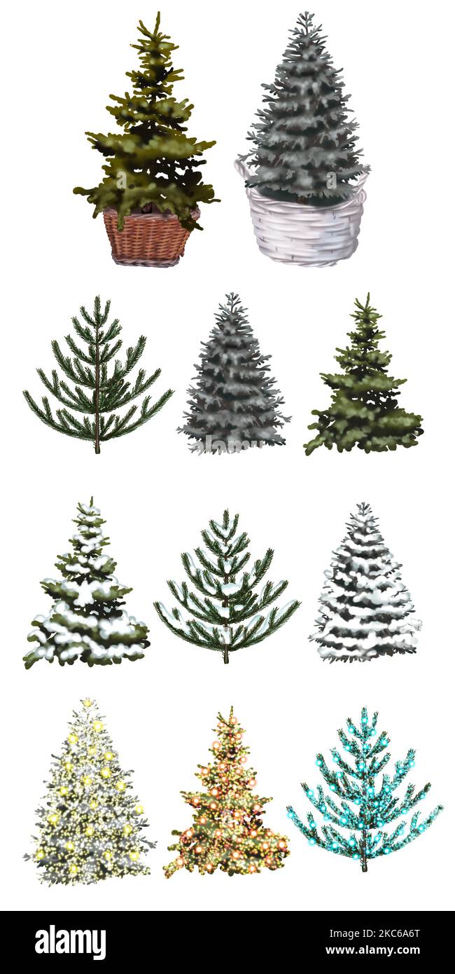 Watercolor set of Christmas trees. realistic set of Christmas trees ...
