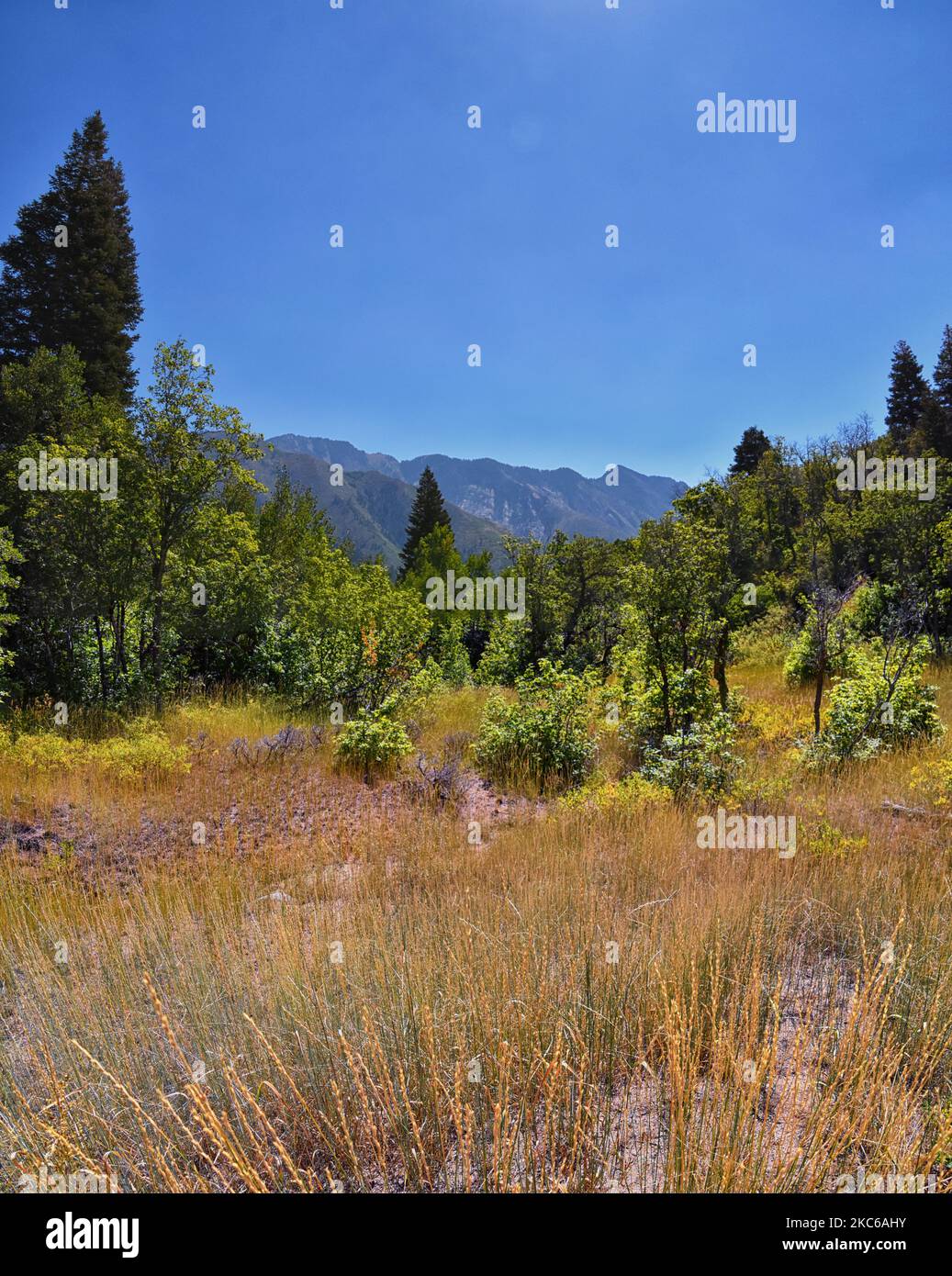 Hamongog hiking trail mountain views below Lone Peak Wilderness ...