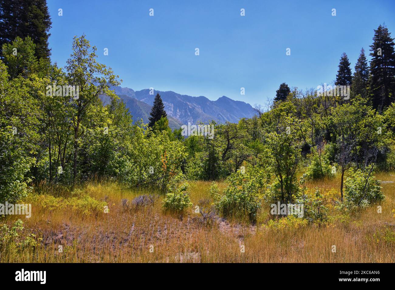 Hamongog hiking trail mountain views below Lone Peak Wilderness ...