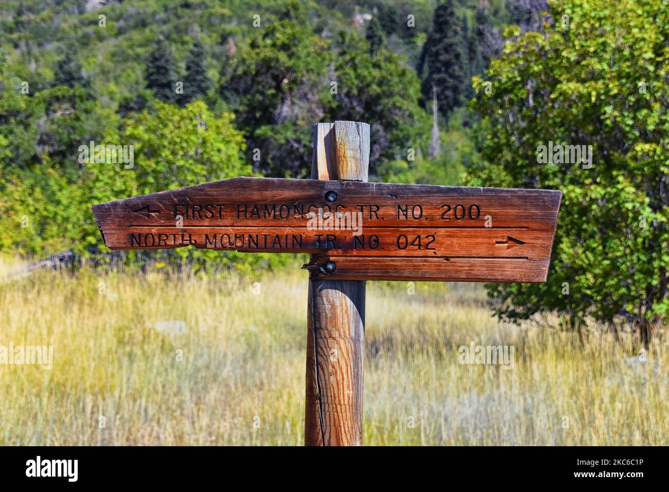 Hiking Trail Sign Hamongog Peak Lone Peak Wilderness, Wasatch Rocky ...