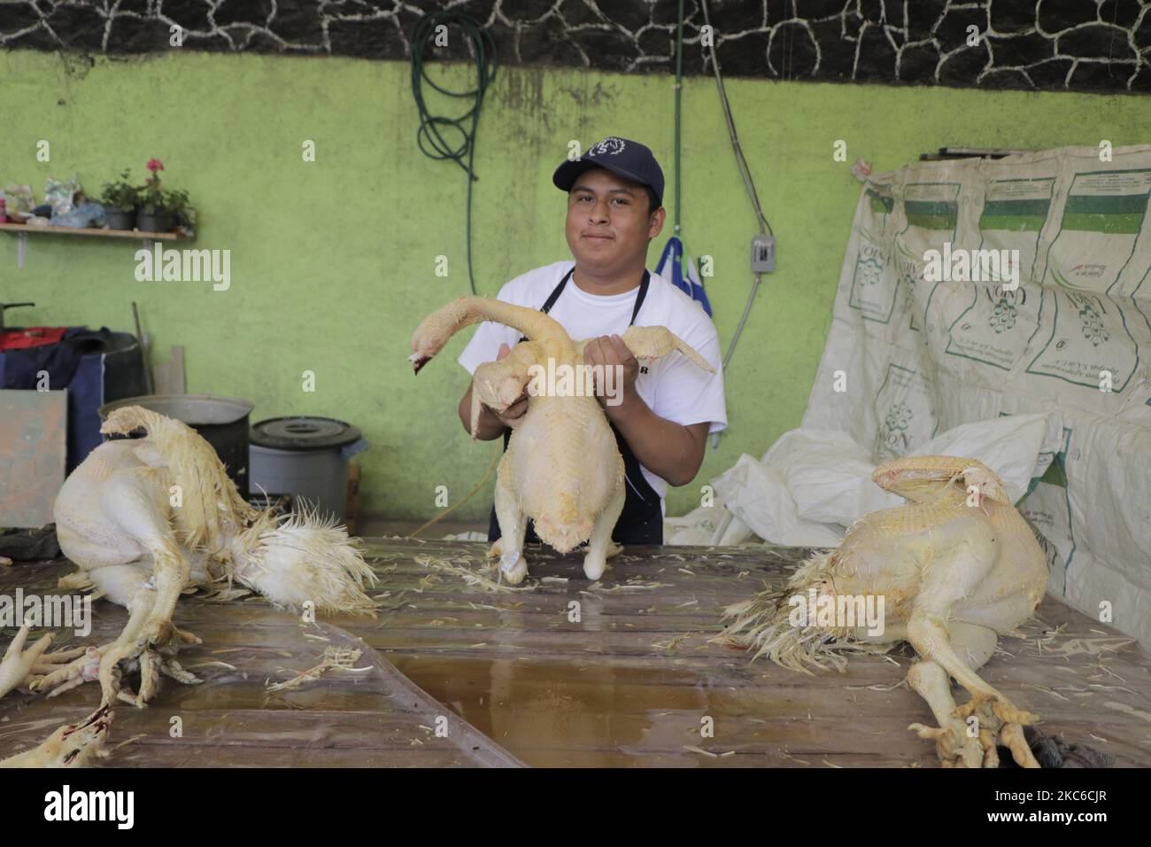 Montes family hi-res stock photography and images - Alamy