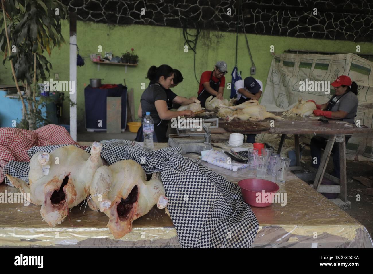 Members of the Montes family originally from Zapotitlán, Tláhuac, pluck ...