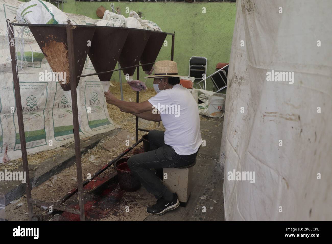 Sacrifice of turkeys by the Montes family from Zapotitlán, Tláhuac, for ...
