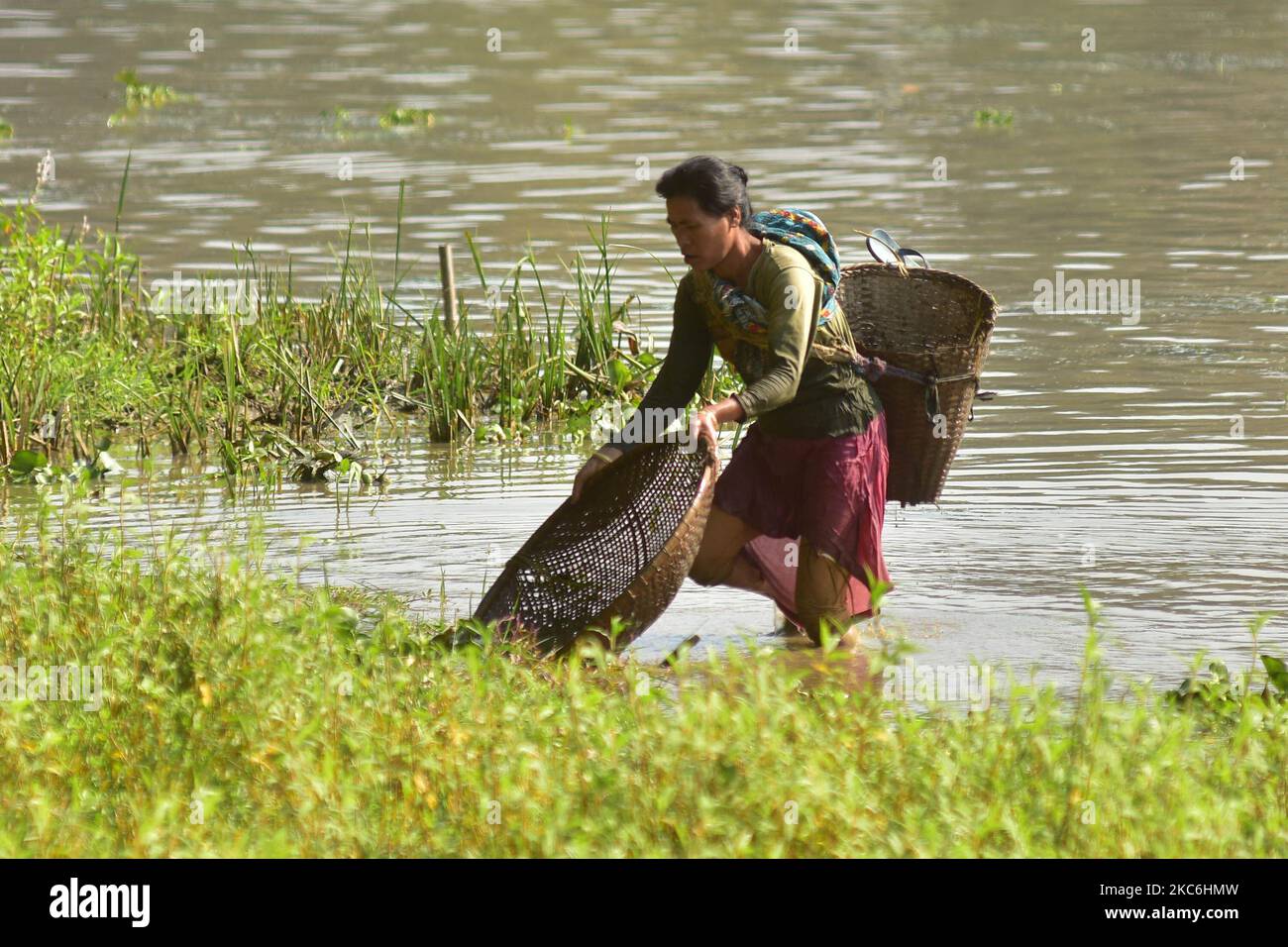 Women of Karbi tribe use traditional method to catch fishes in shallow ...