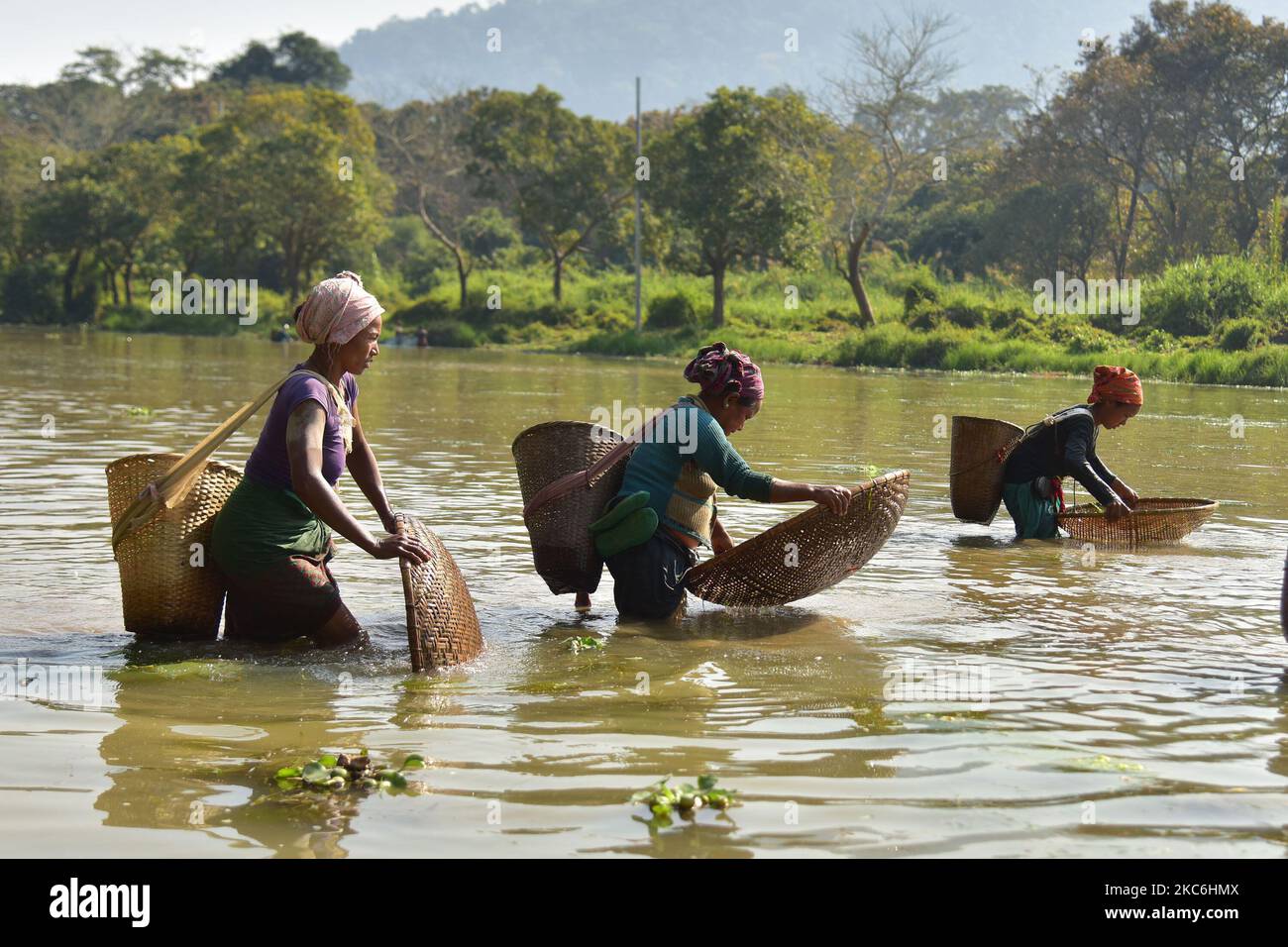 Women of Karbi tribe use traditional method to catch fishes in shallow ...