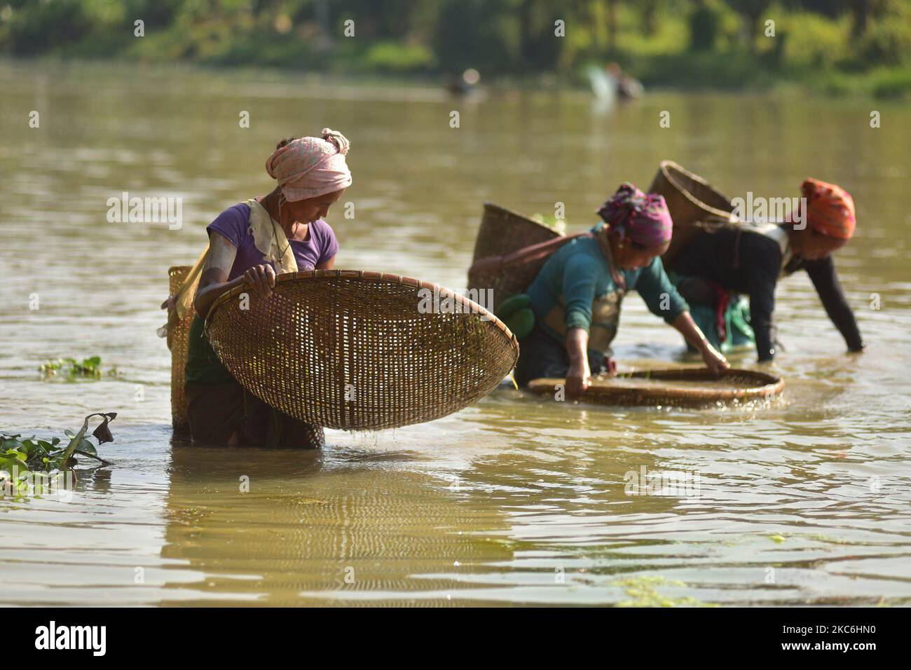 Women of Karbi tribe use traditional method to catch fishes in shallow ...