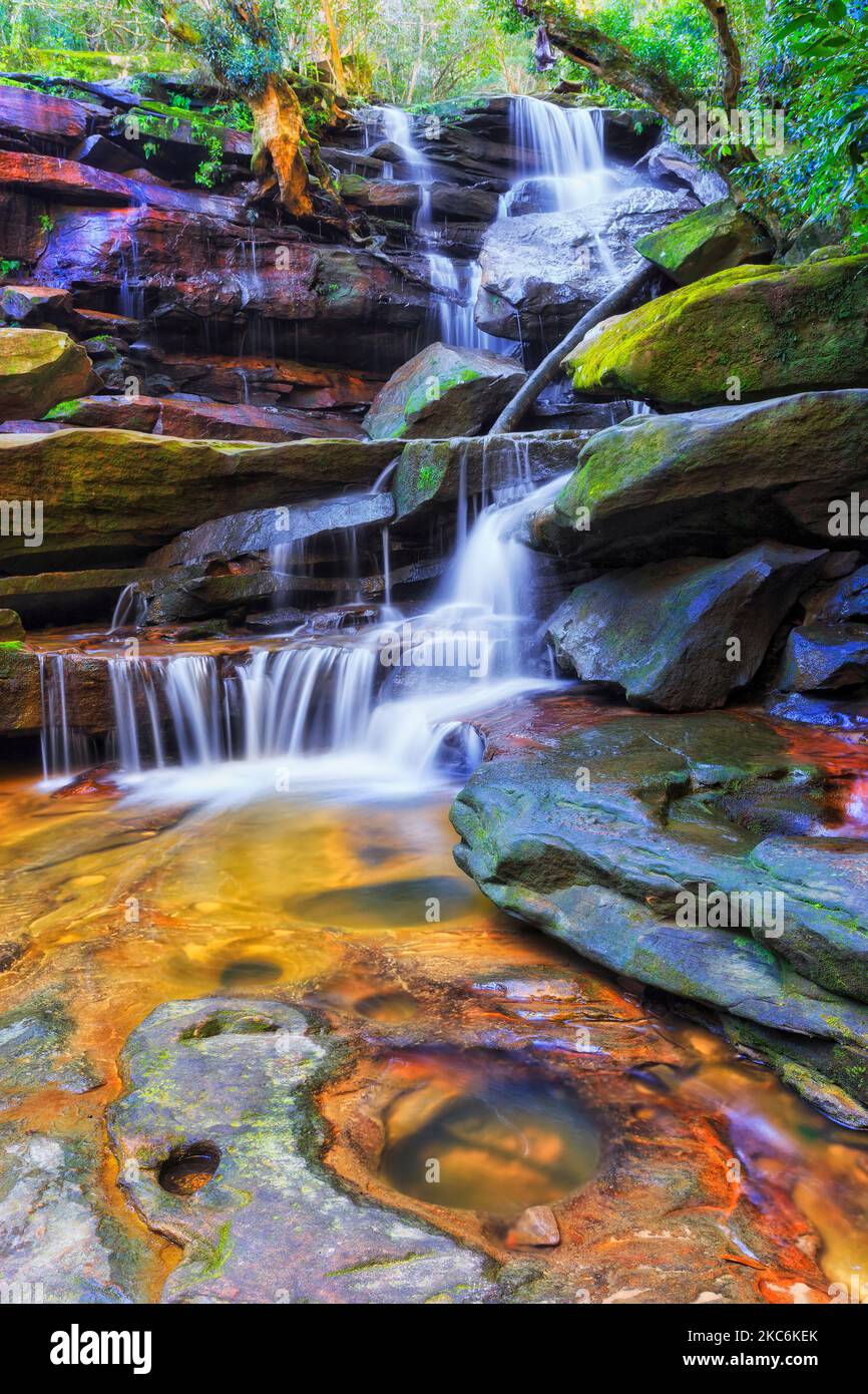 Scenic evergreen rainforest with Somersby falls waterfall streaming ...