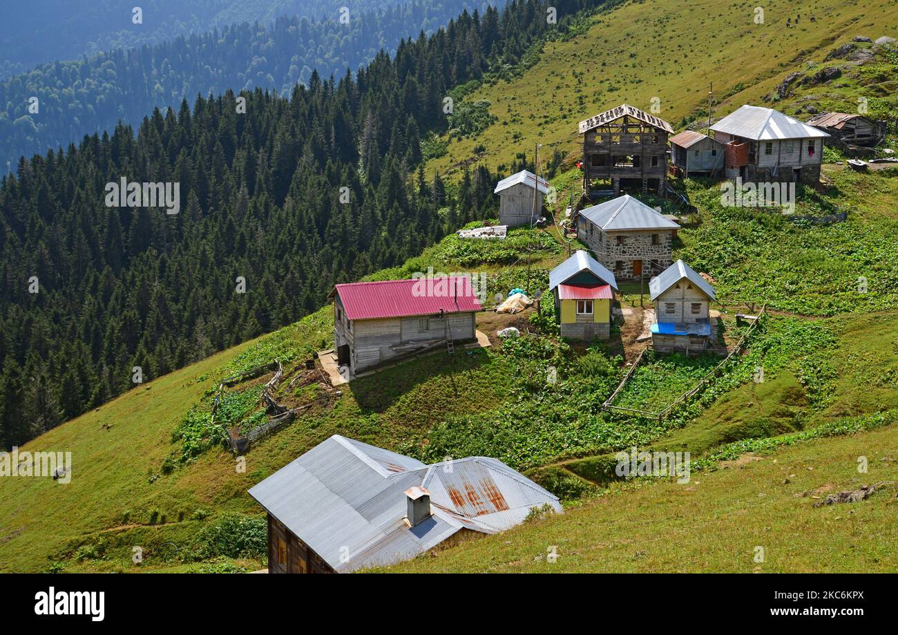Gito Plateau, located in Rize, Turkey, is one of the most important ...