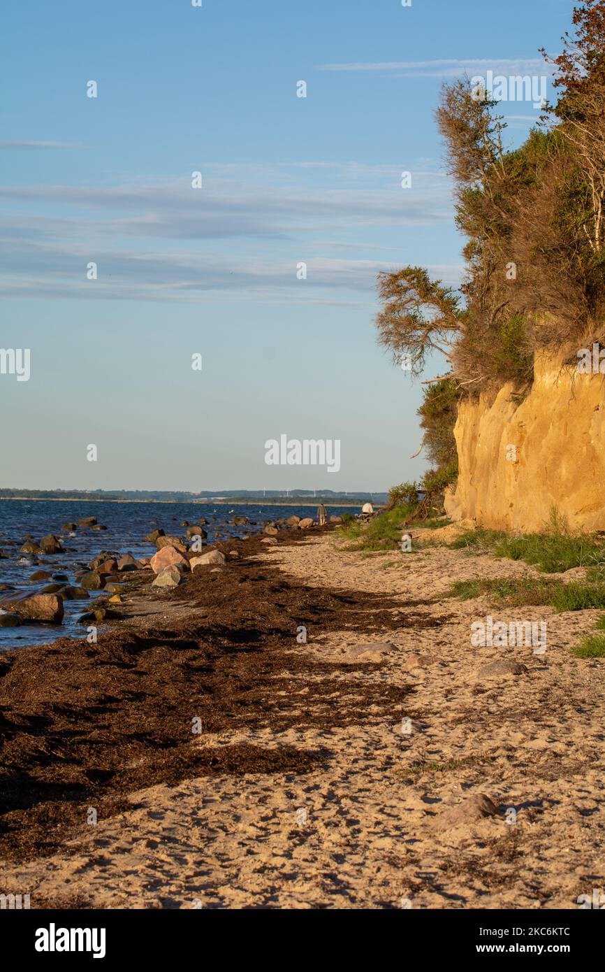 Steep coast at the black bush with sea and blue sky, on the island of ...