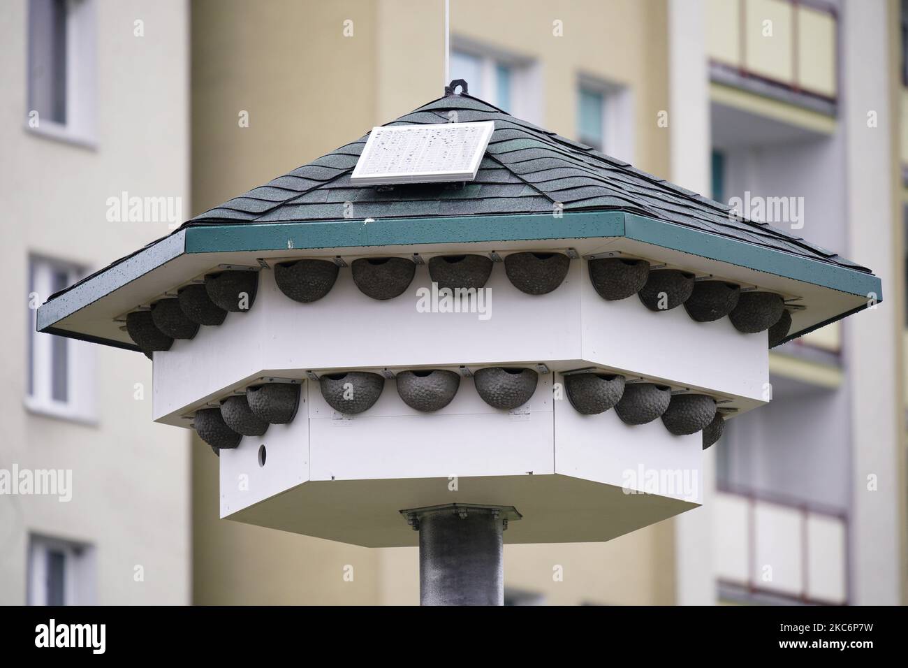 A newly built "home for swallows" is seen in a park in Warsaw, Poland ...