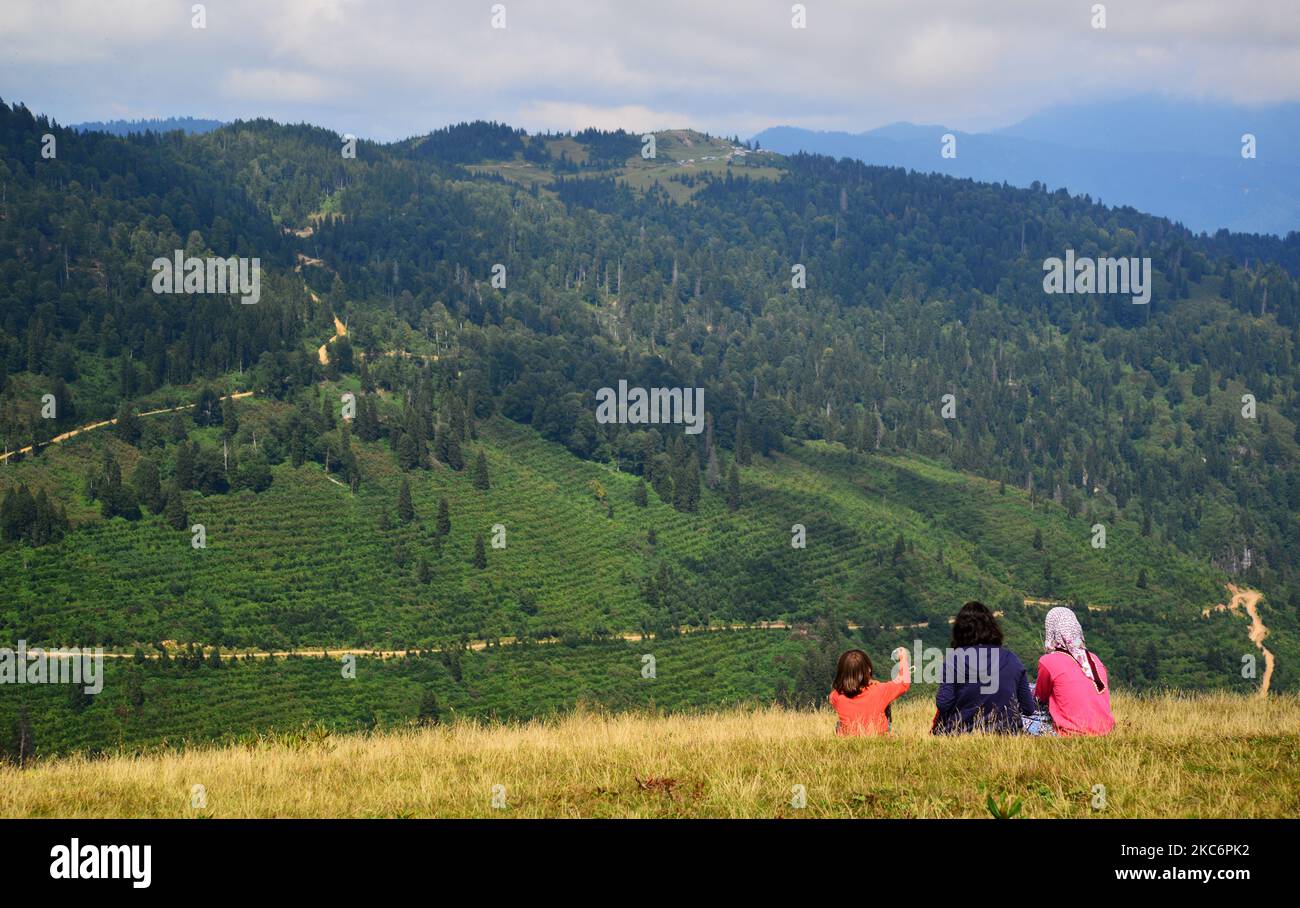 Gito Plateau, located in Rize, Turkey, is one of the most important ...