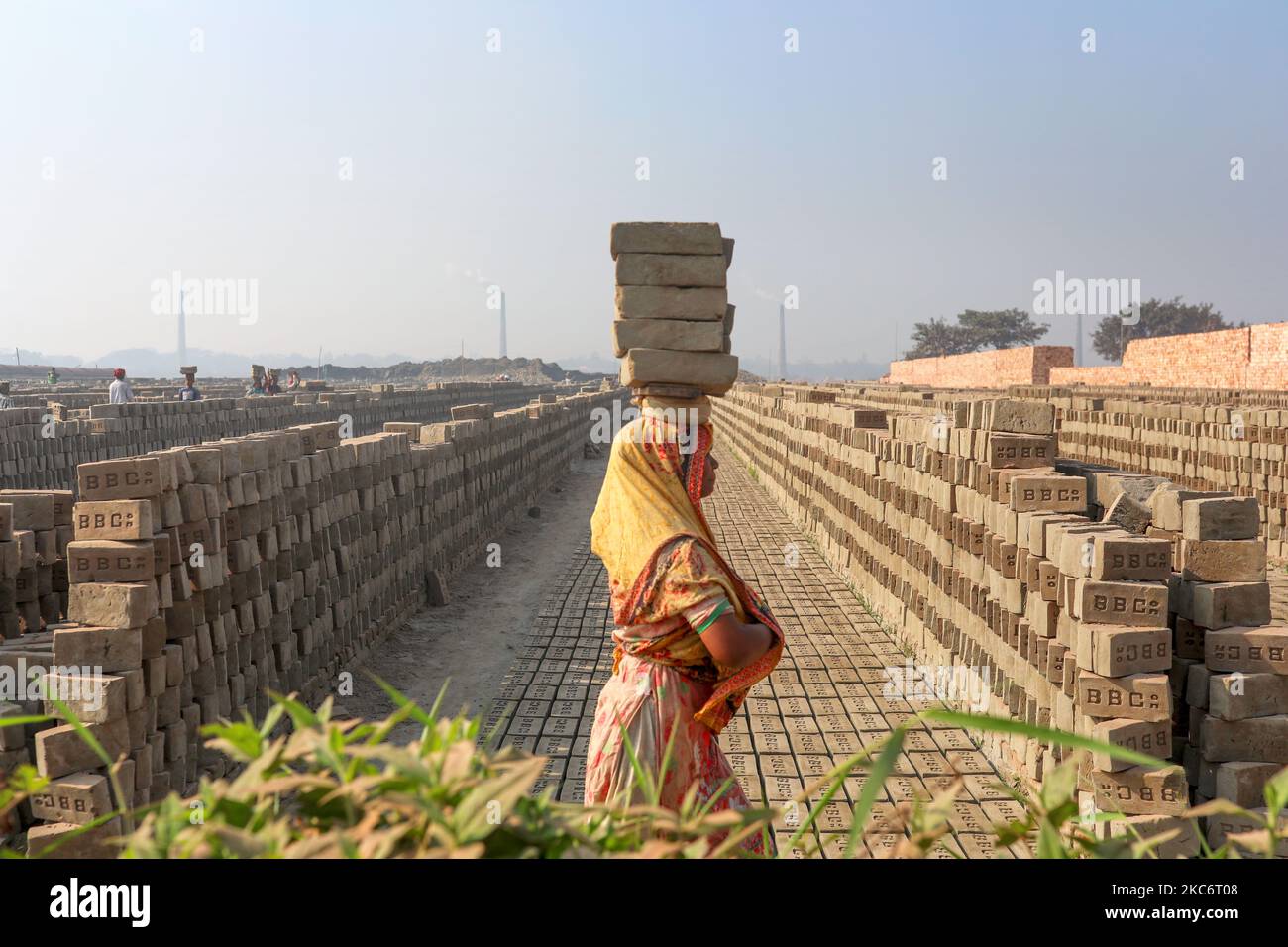 A female brickfield workers is working in brickfields at Narayanganj ...