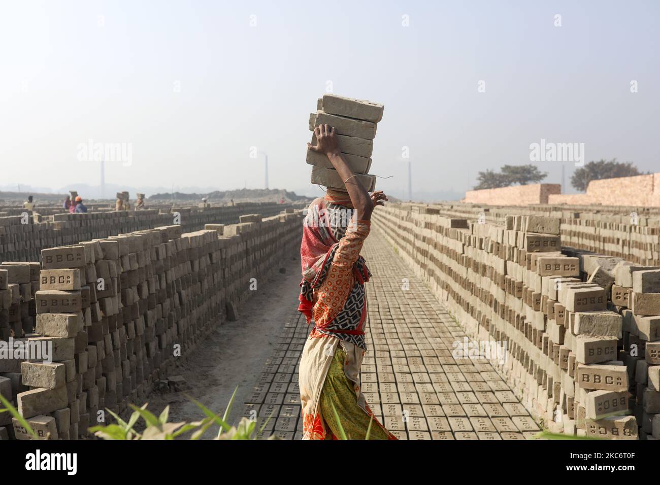 A female brickfield workers is working in brickfields at Narayanganj ...