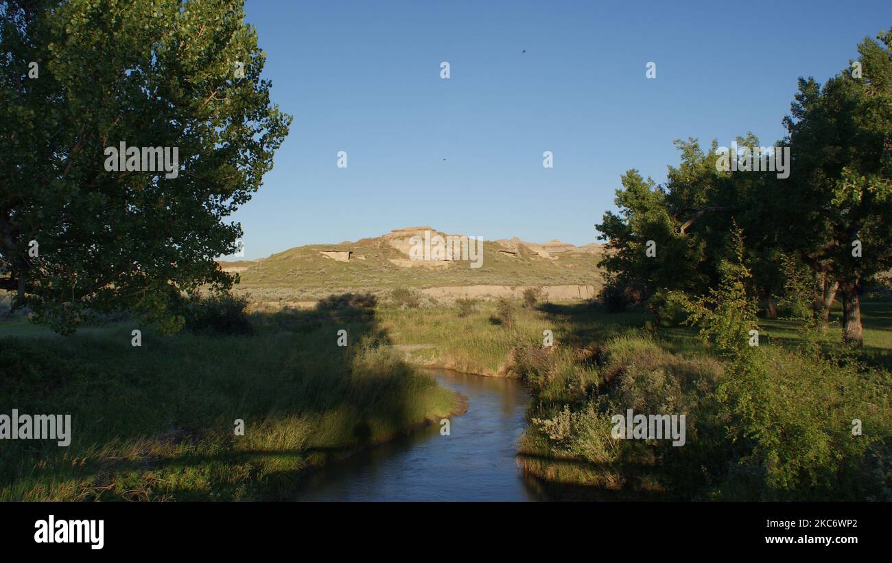 A landscape with narrow river flowing through lush green vegetation in ...