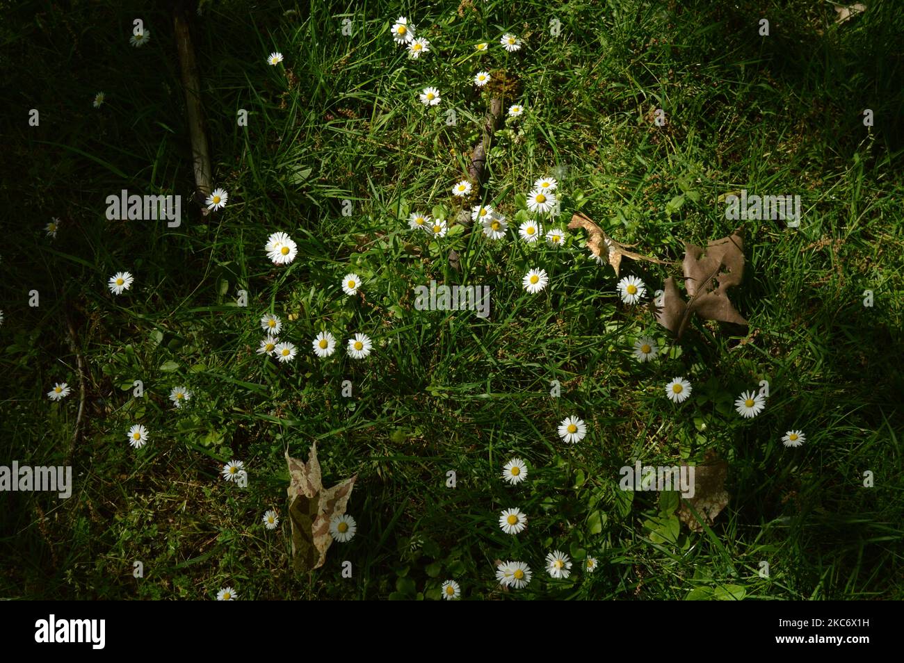 Partly sunny hi-res stock photography and images - Alamy