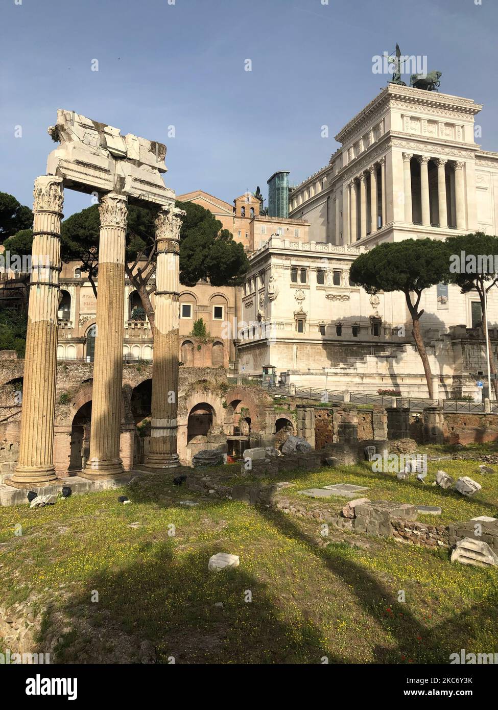 A vertical shot of the Temple of Caesar (Temple of Divus Iulius) in ...