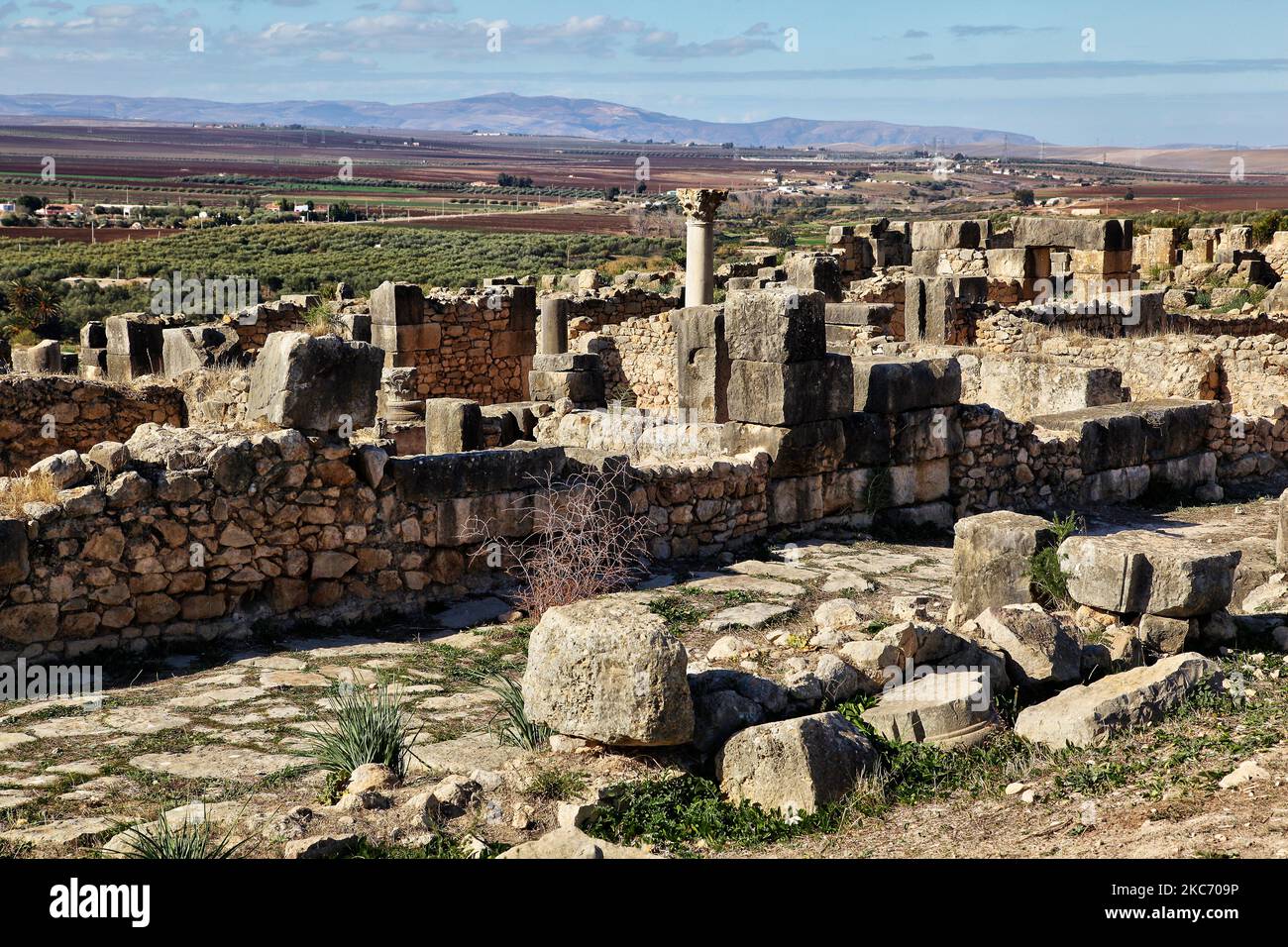 The ruins of the ancient Roman town of Volubilis in Meknes, Morocco ...