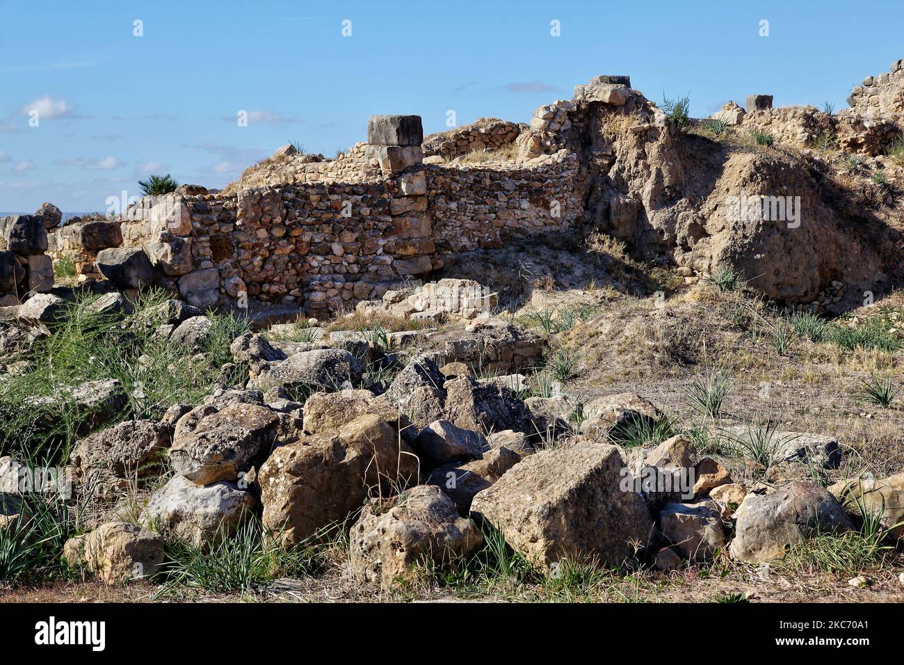 The ruins of the ancient Roman town of Volubilis in Meknes, Morocco ...
