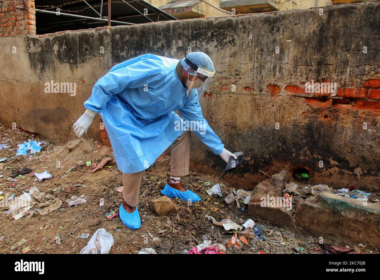 Sick crows hi-res stock photography and images - Alamy