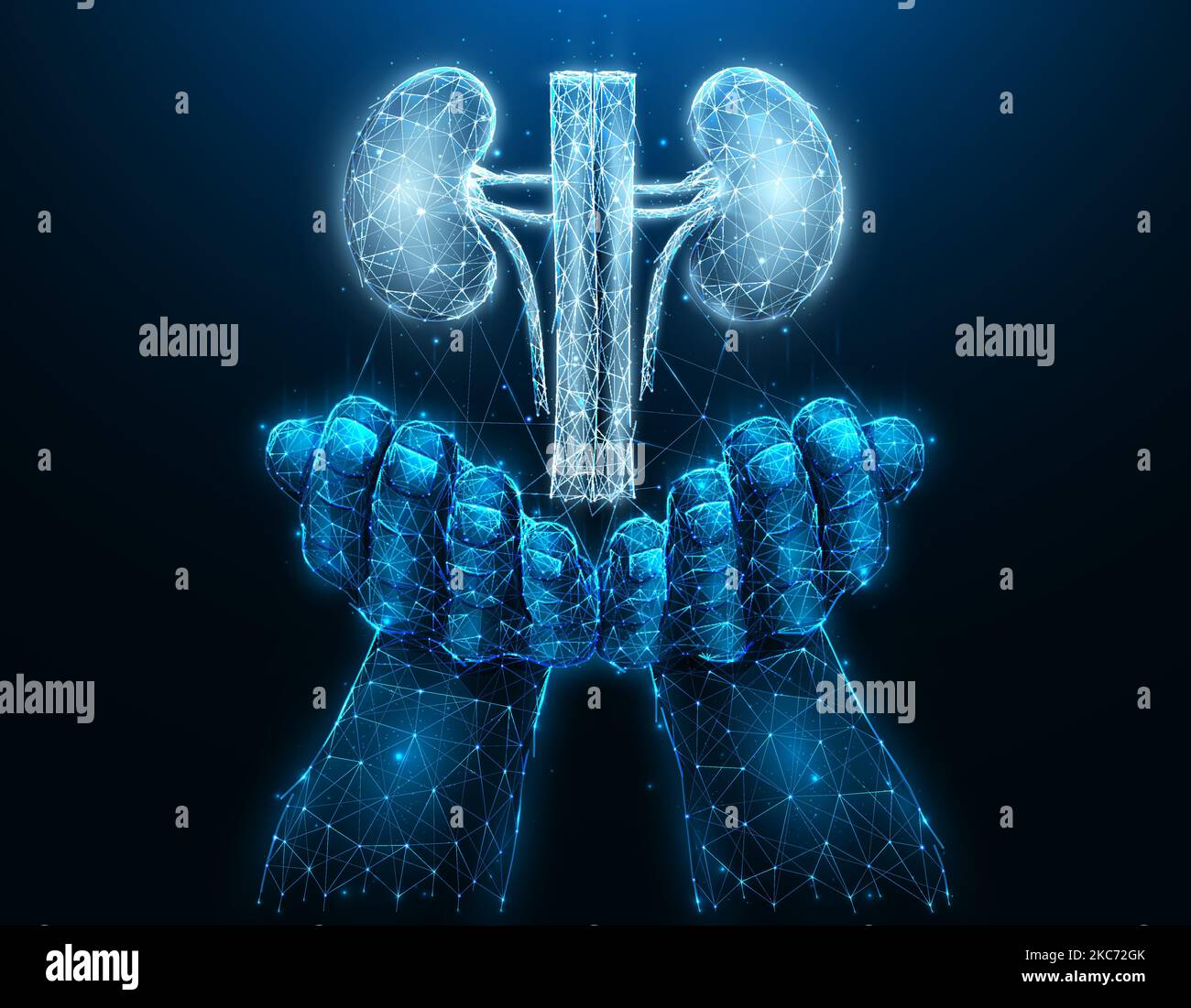 Polygonal vector illustration of a hand with human kidneys. Organ ...