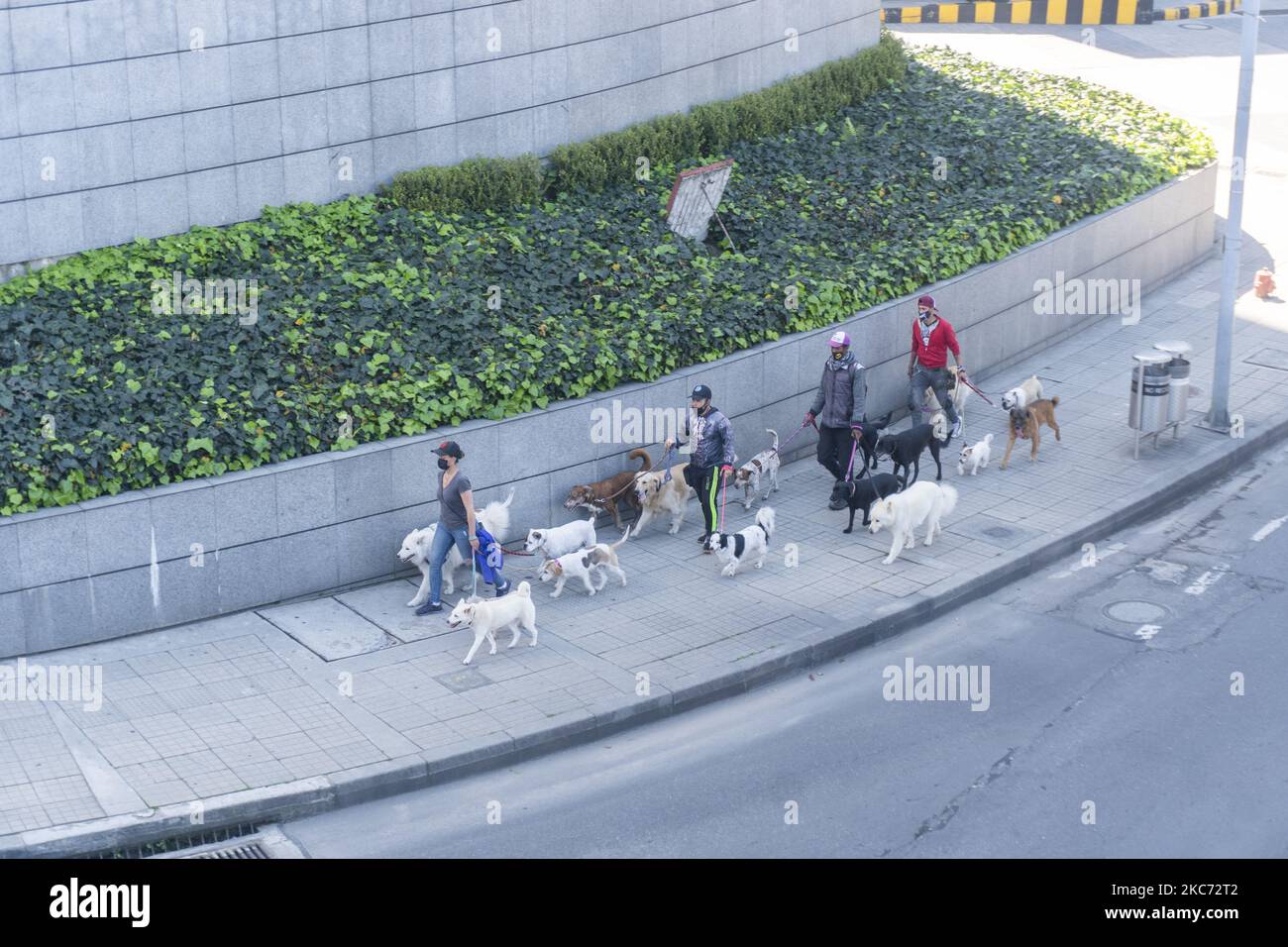 Some people walk dogs on the first day of strict quarantine decreed due ...