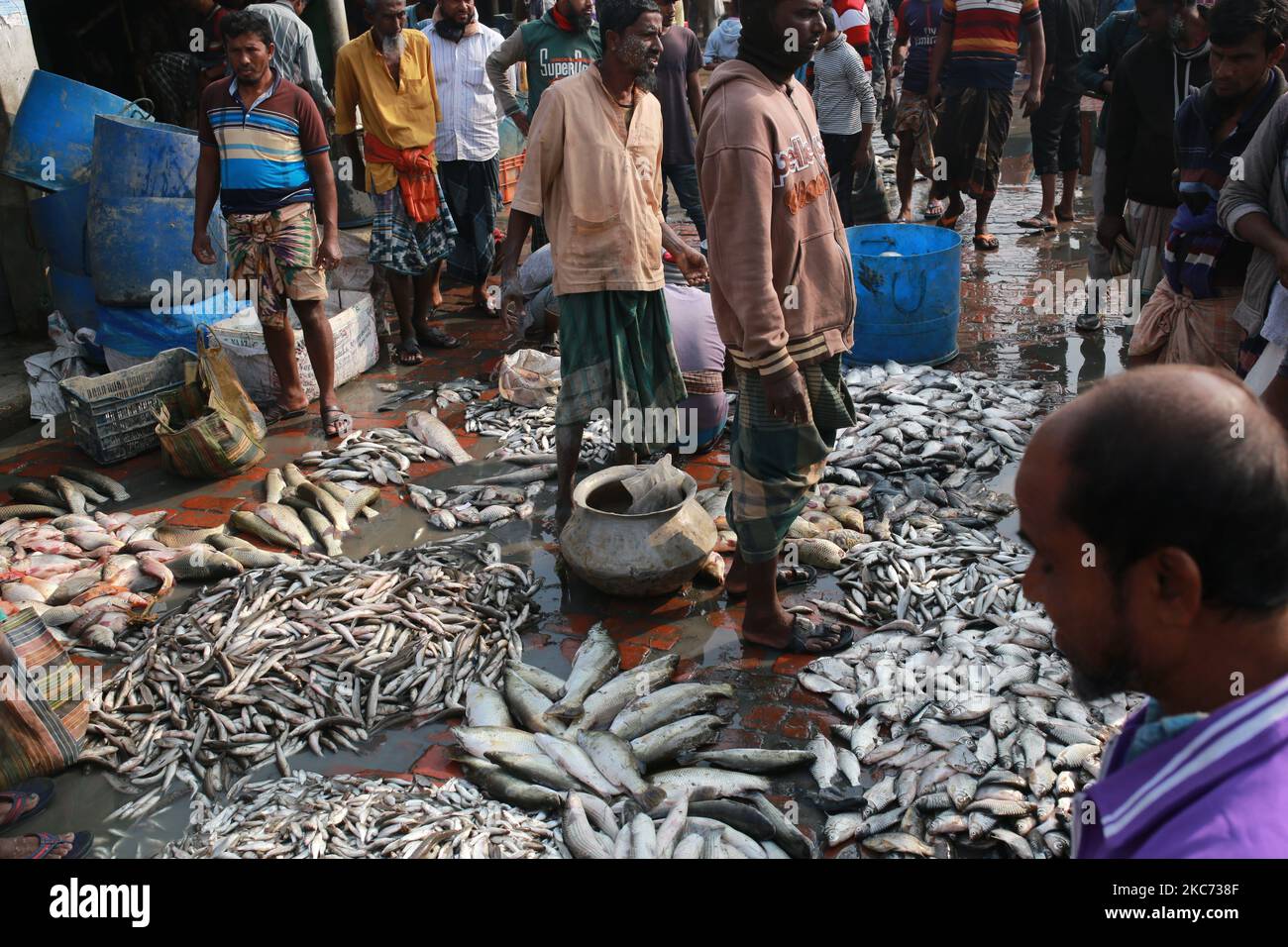 Traders sell fishes at a wholesale fish market in Satkhira ...