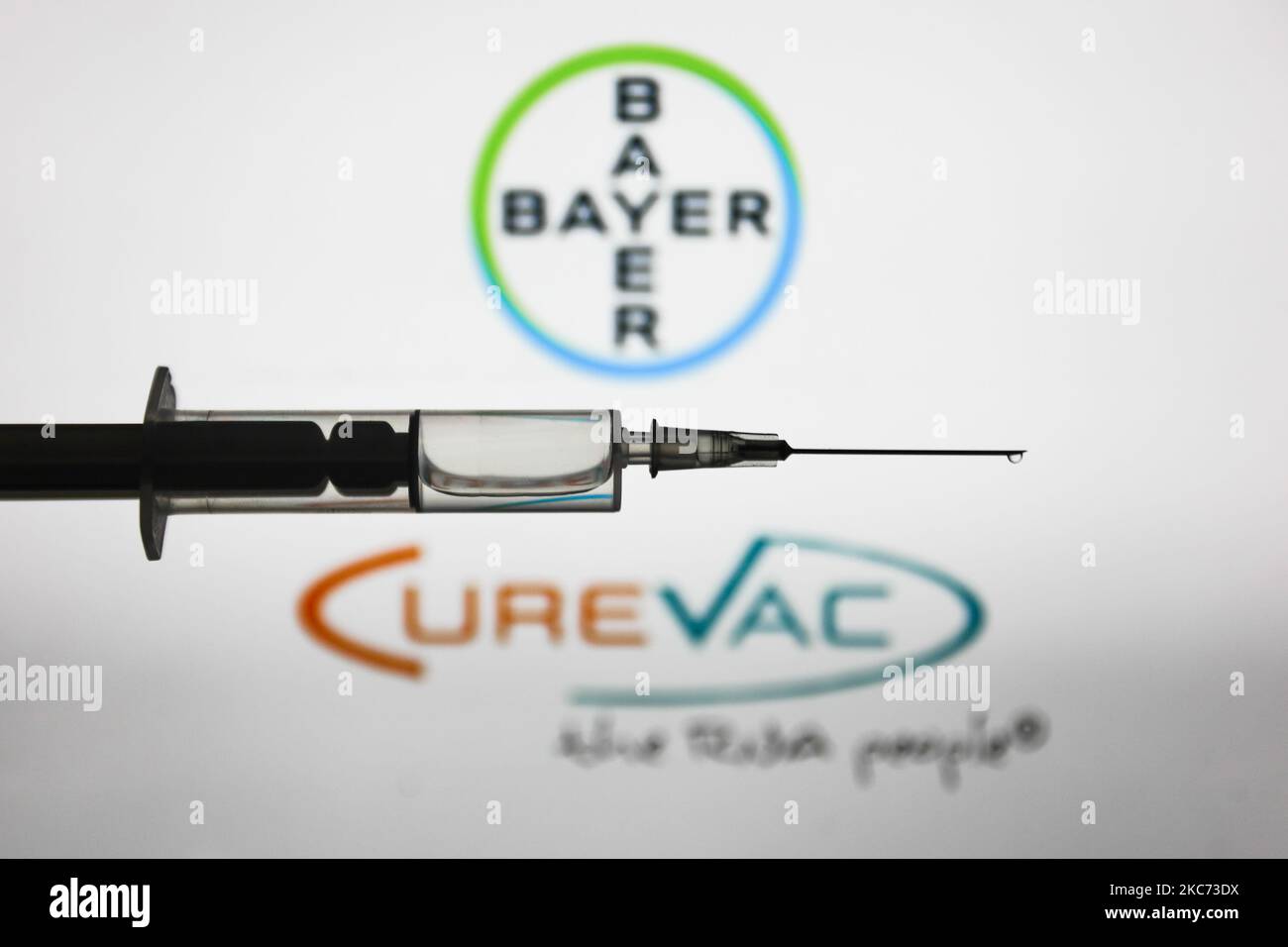 Medical syringe is seen with Bayer and CureVac logos displayed in the ...