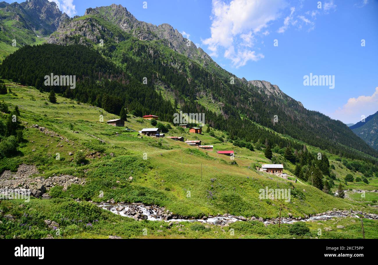 Elevit Plateau, located in Rize, Turkey, is one of the preserved ...